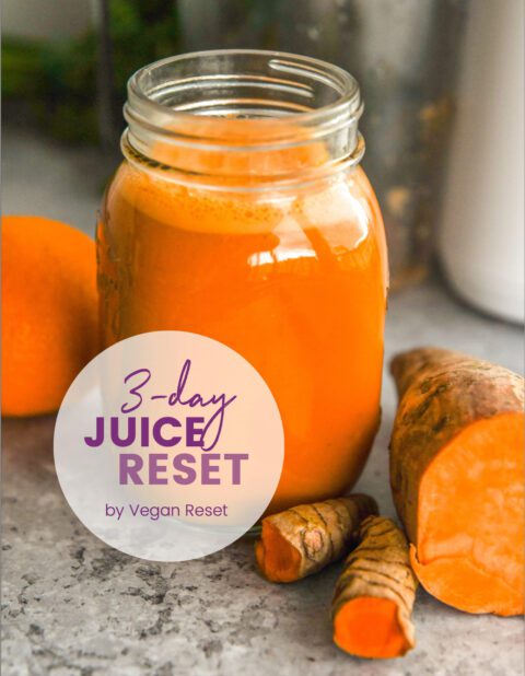 Vegan Reset Blog & Recipes